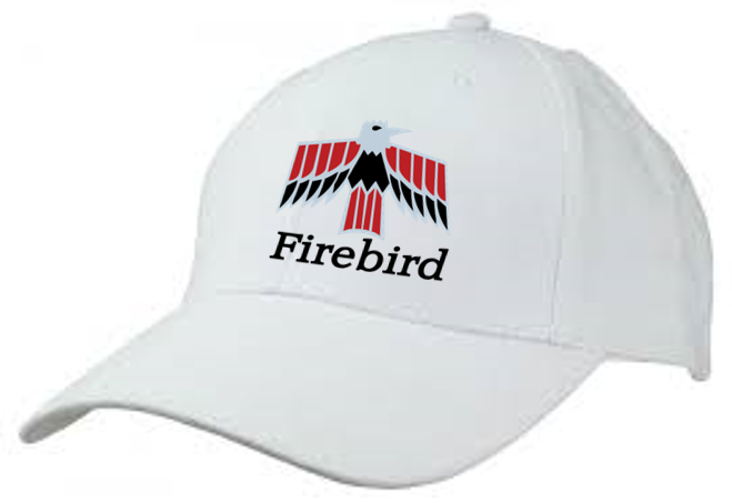 Pontiac 60s Firebird Hat – GMClubapparel.com